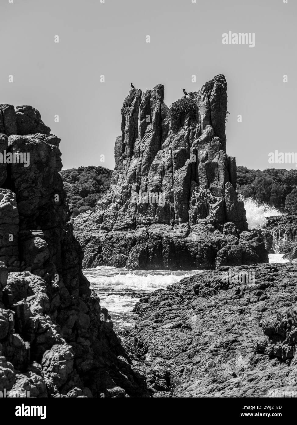 Amidst nature Black and White Stock Photos & Images - Alamy