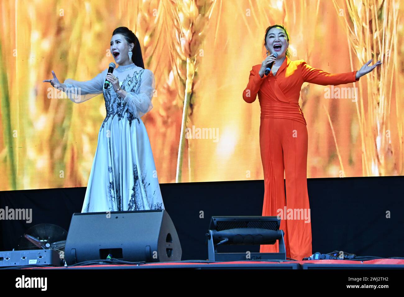 Trafalgar square, London, UK, 11 February 2024: China: Chinese singer ...