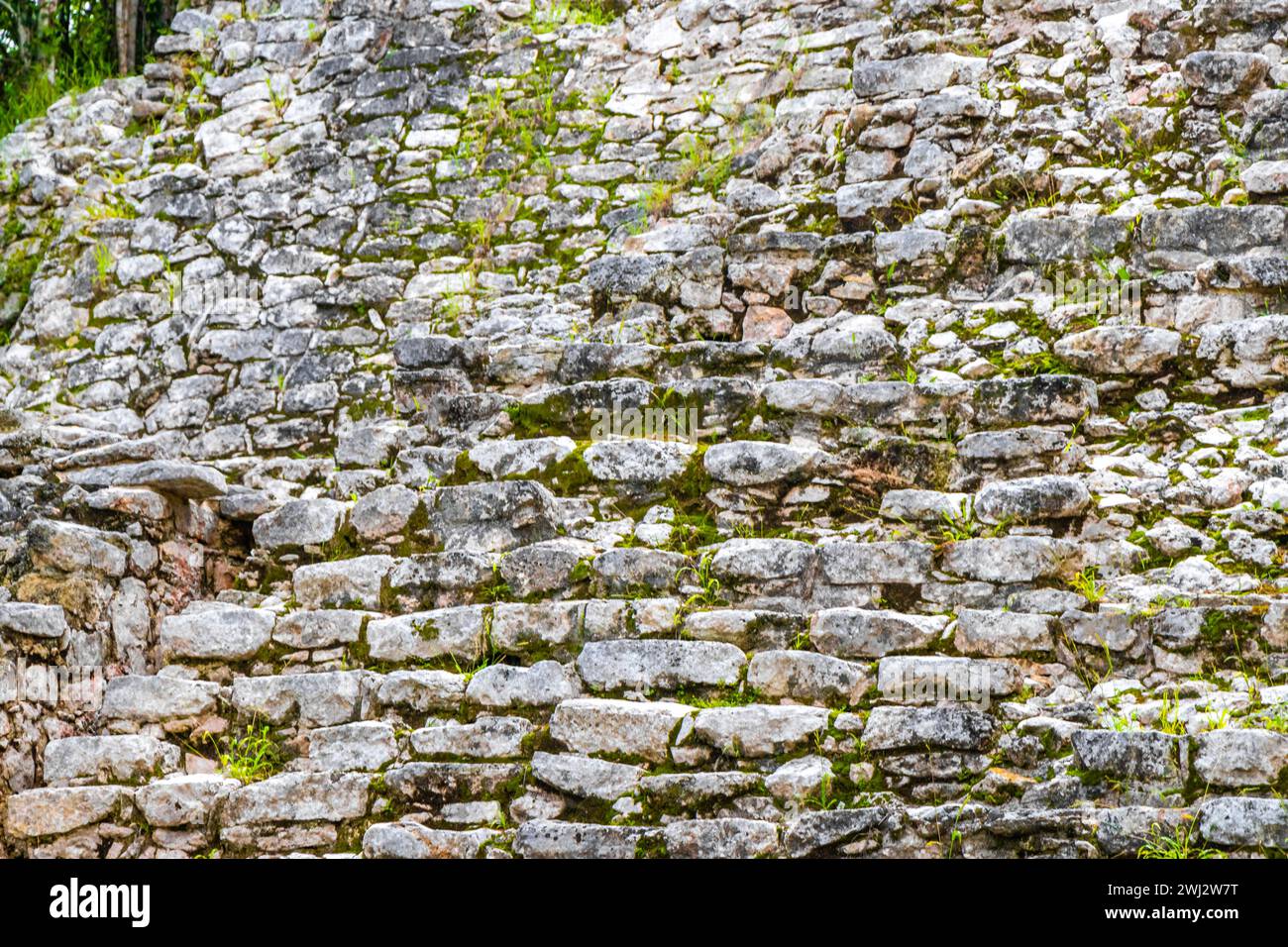 Coba Maya Ruins the ancient buildings and pyramids in the tropical ...