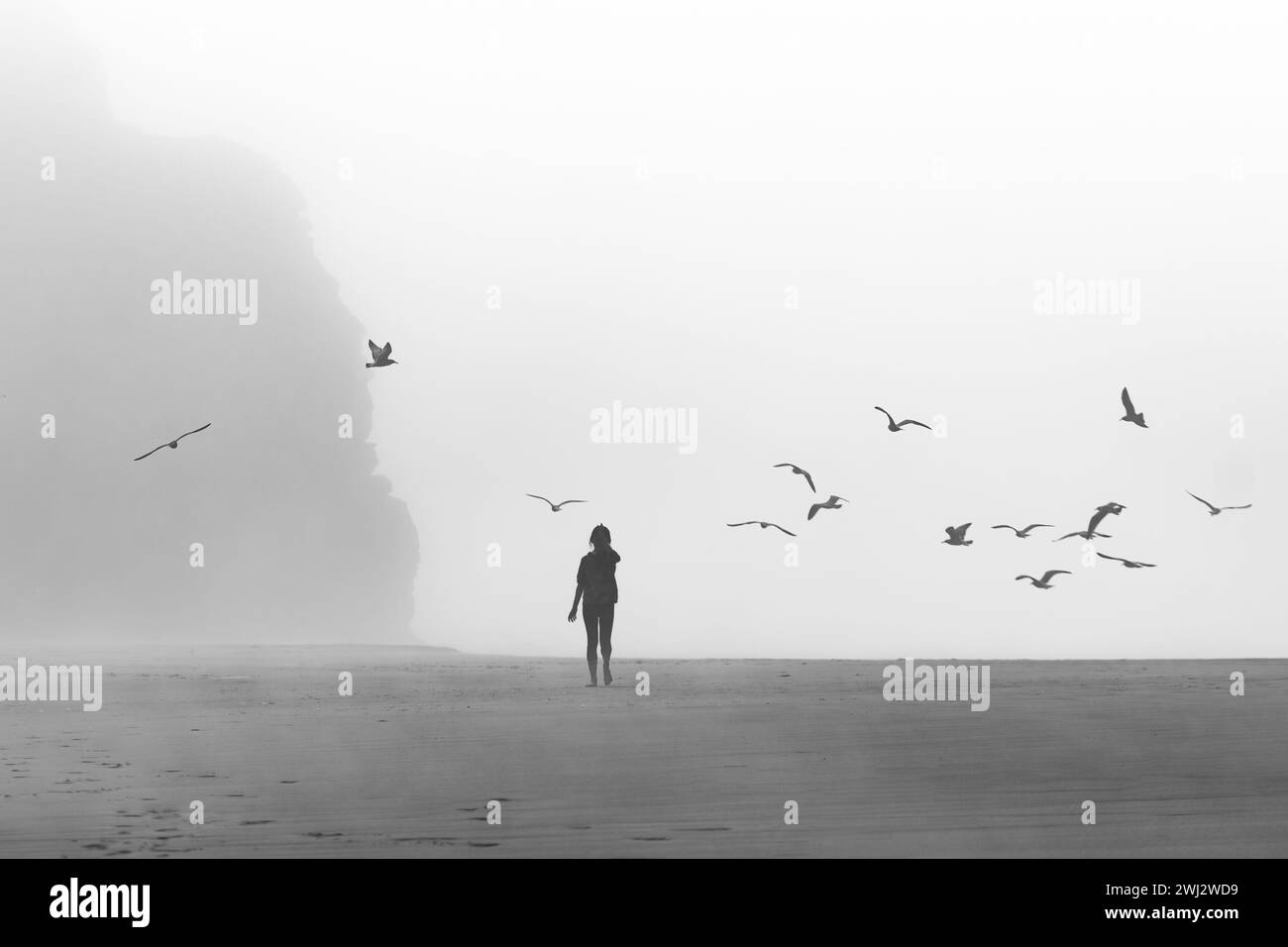 A person standing on a beach with birds flying around them Stock Photo ...