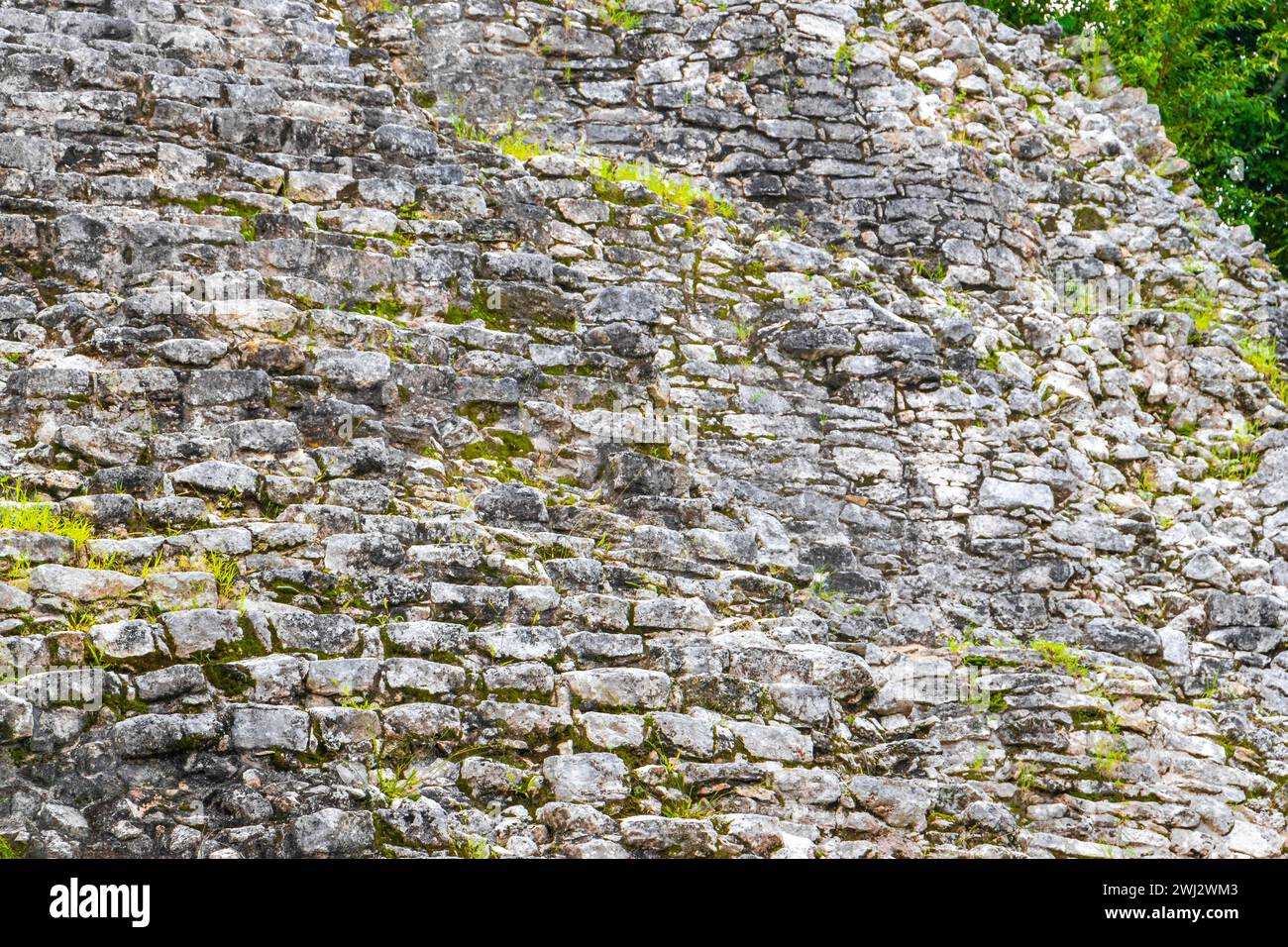 Coba Maya Ruins the ancient buildings and pyramids in the tropical ...