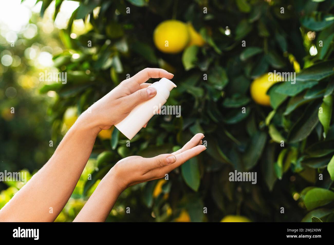 Woman holds bottle of skin care product in her hands on lemon tree ...