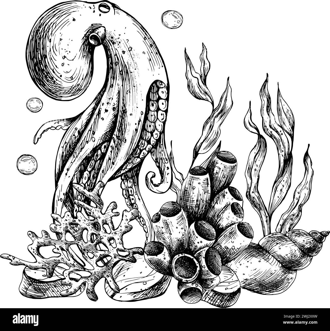 Underwater world clipart with sea animals octopus, shells, coral and ...