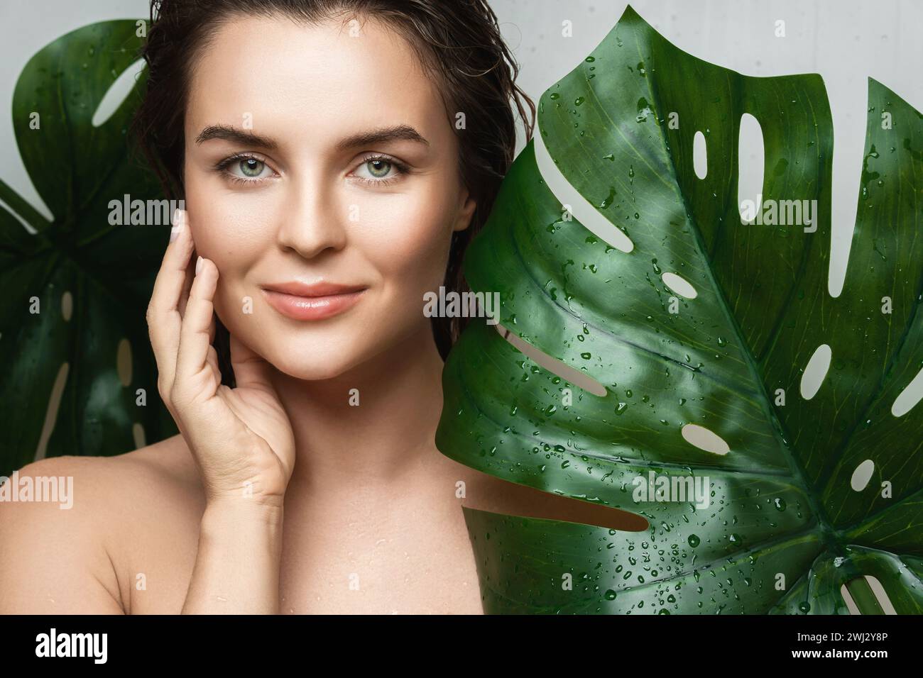 Young woman with a smooth skin holding Monstera deliciosa plant leaf ...