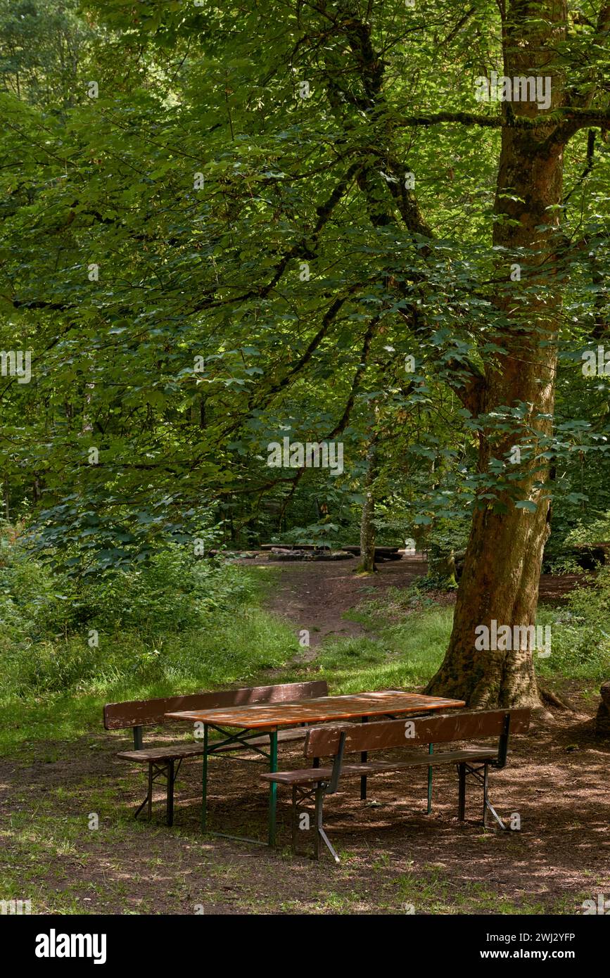 Idyllic Picnic Area At Urach Waterfall Cascade “Uracher Wasserfall ...