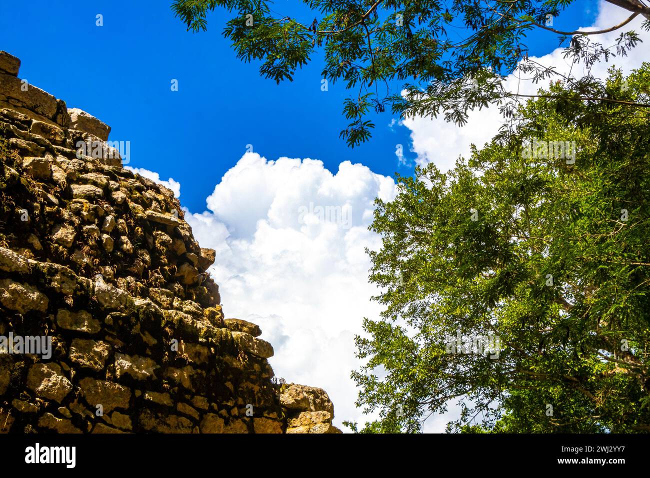 Coba Maya Ruins the ancient buildings pyramids and ball game in the ...