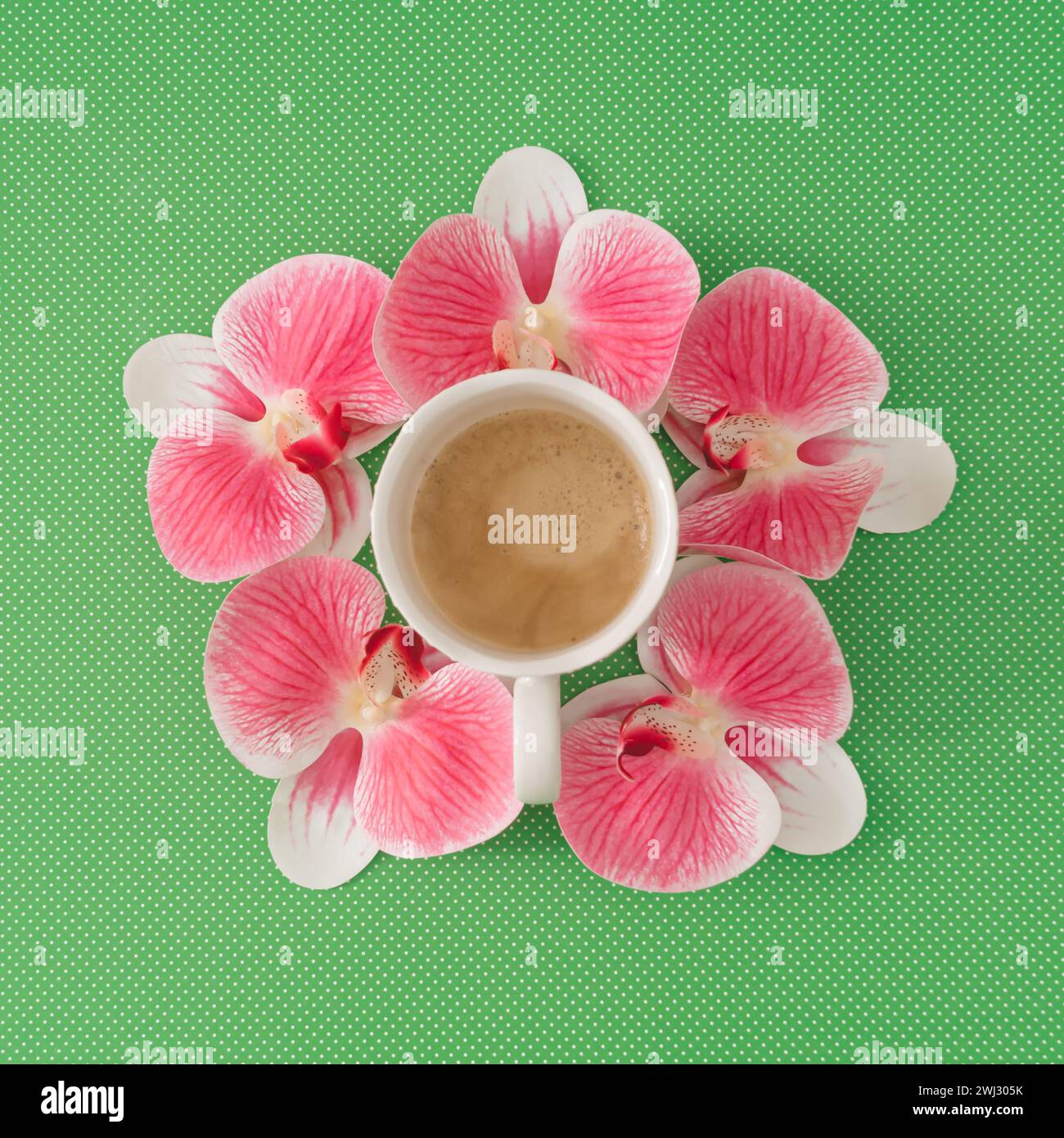Creative minimal arrangement of pink orchid flowers and cup of coffee ...