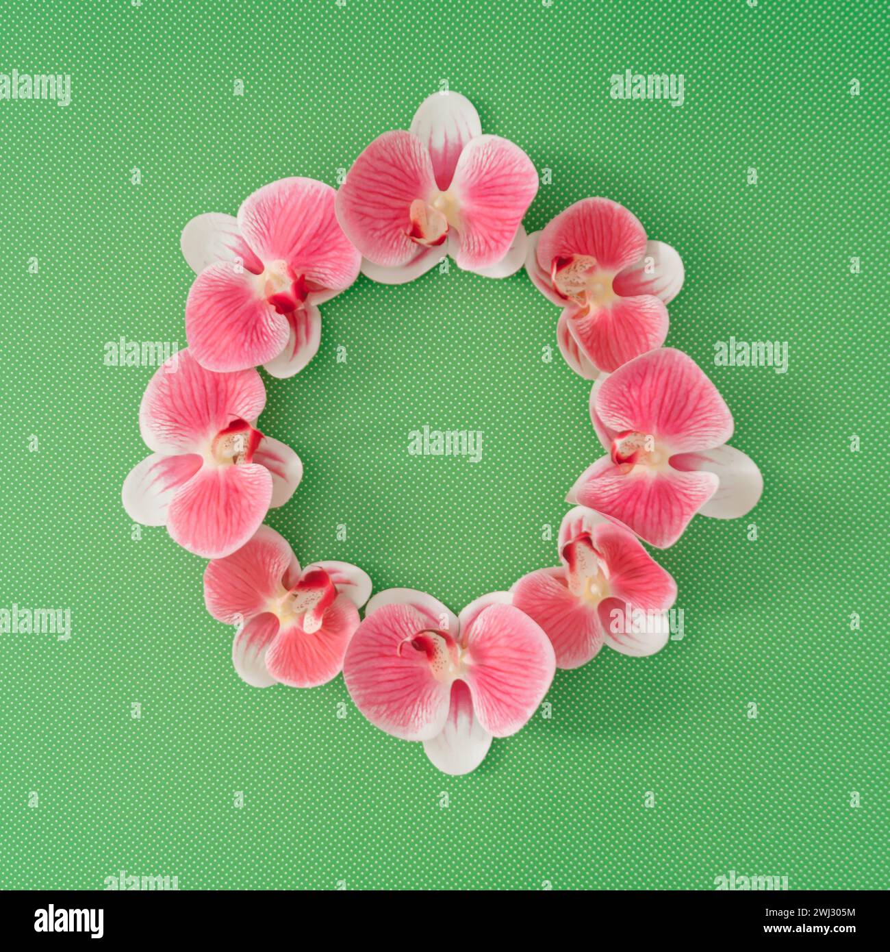 Circle flower frame hi-res stock photography and images - Alamy