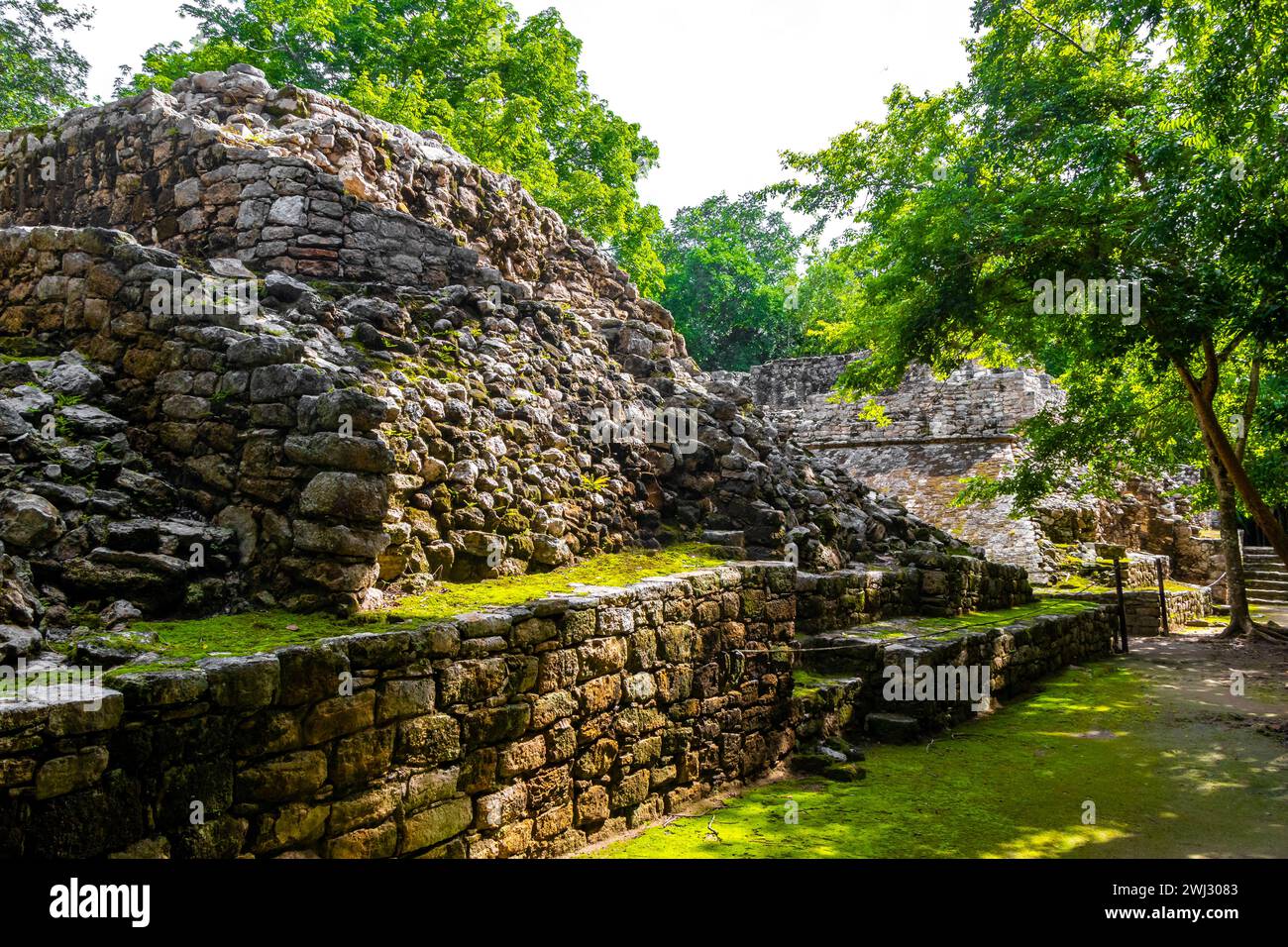 Coba Maya Ruins the ancient buildings and pyramids in the tropical ...