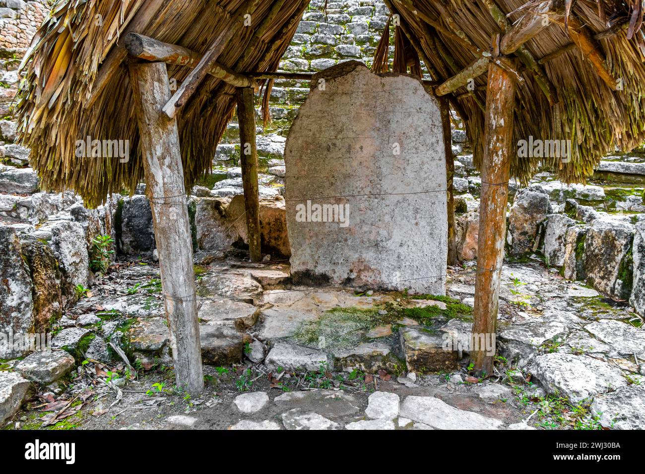 Sign fonts panel board and information at Coba Maya Ruins the ancient ...
