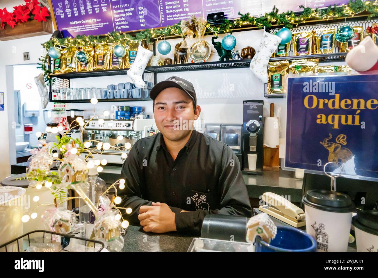 Merida Mexico,Merida Mexico,Zona Paseo Montejo Centro,Marago Coffee ...