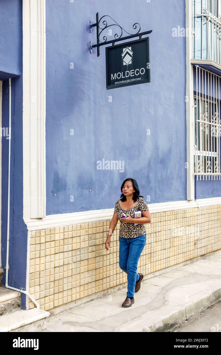 Merida Mexico,Merida Mexico,Zona Paseo Montejo Centro,Calle 41,Moldeco ...