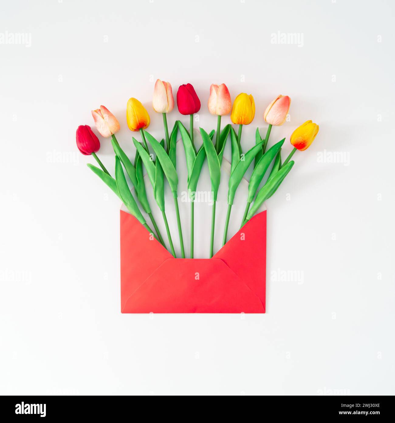 Spring composition made with colorful tulip flowers coming out of red ...