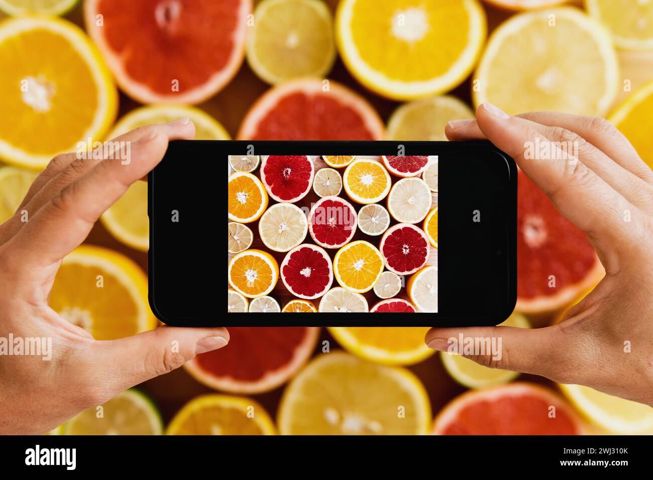 Female hands with smartphone taking photos of different citrus fruits ...