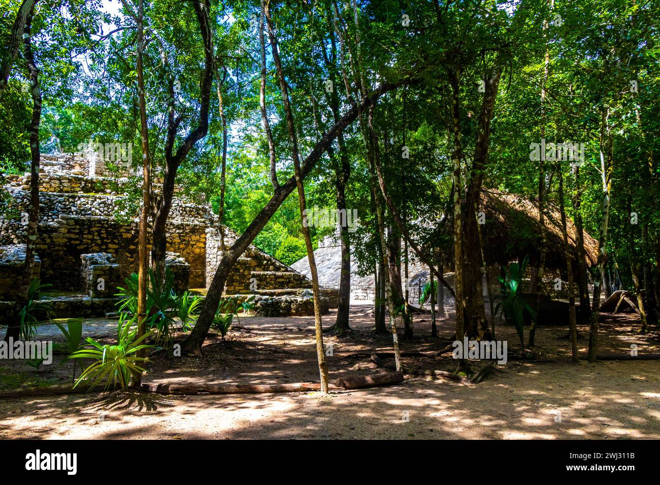Coba Maya Ruins the ancient buildings pyramids and ball game in the ...