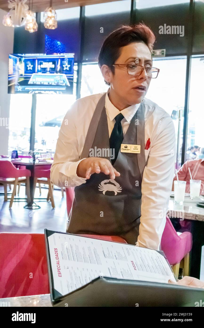 Merida Mexico,Merida Mexico,Zona Paseo Montejo Centro,Calle 60,Crabster ...