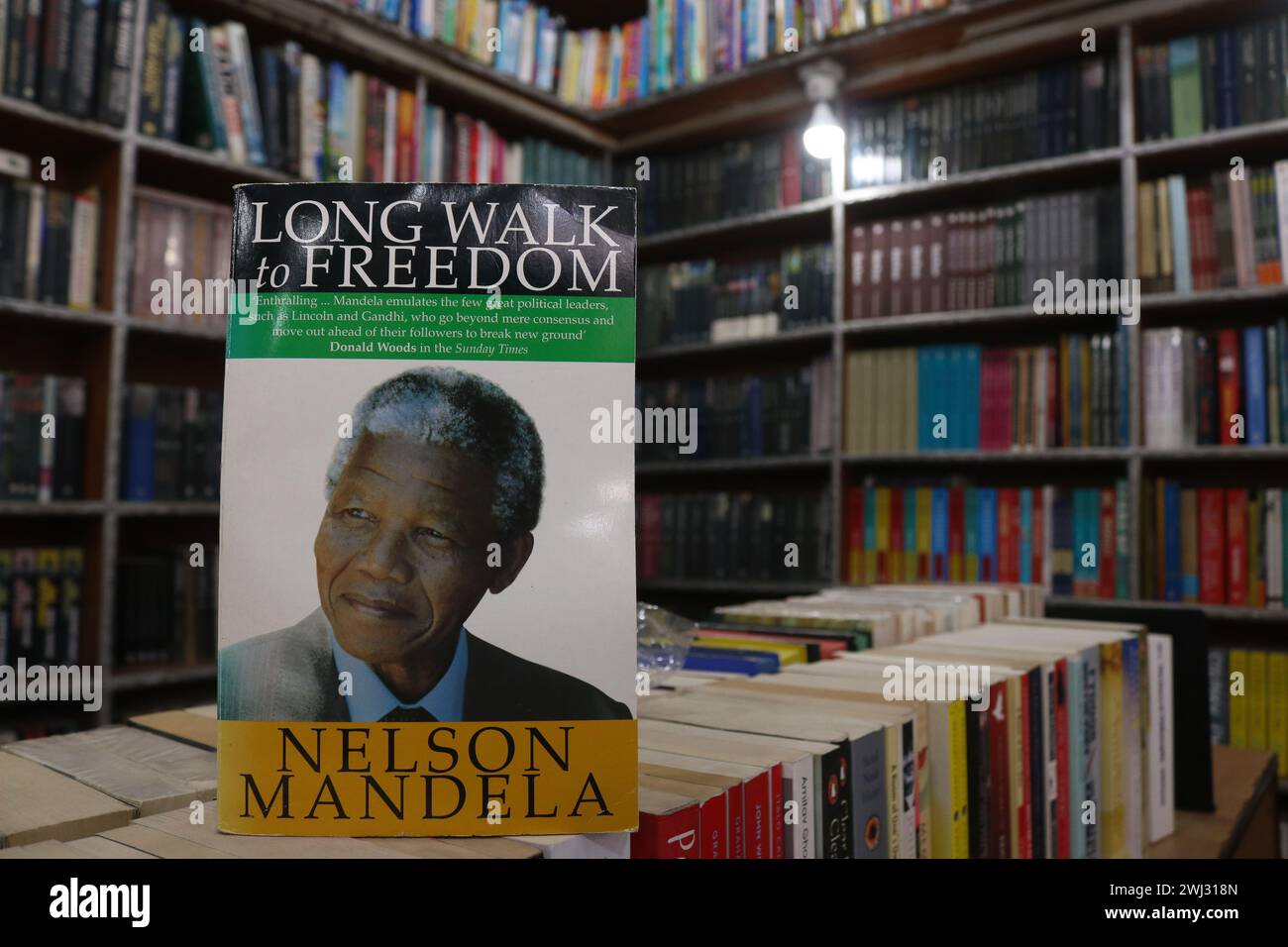 Mandela Long Walk To Freedom Movie Poster 2024