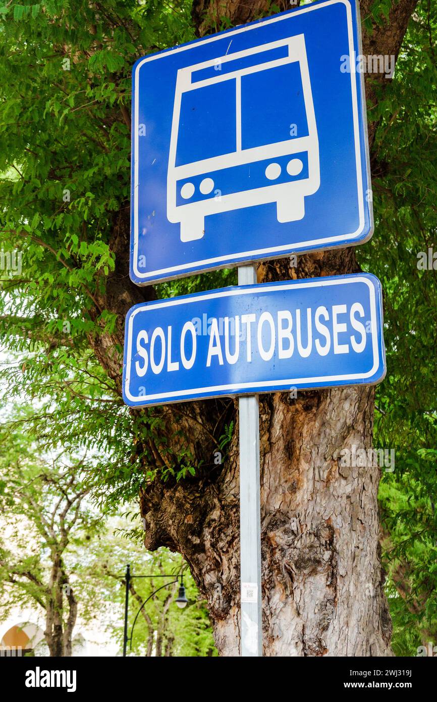 Merida Mexico,Merida Mexico,Zona Paseo Montejo Centro,Avenida Colon ...