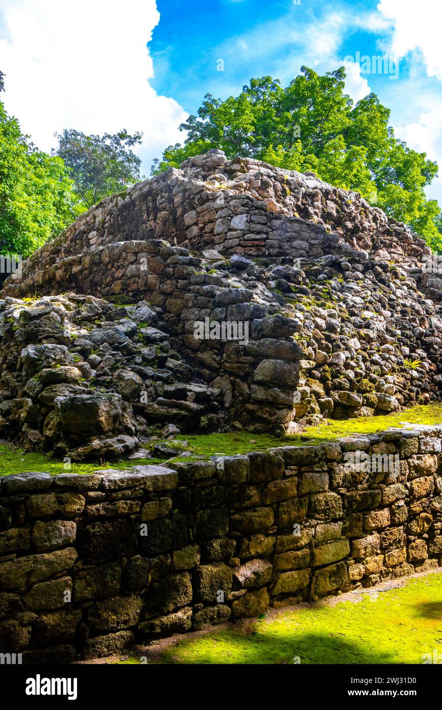 Coba Maya Ruins the ancient buildings and pyramids in the tropical ...