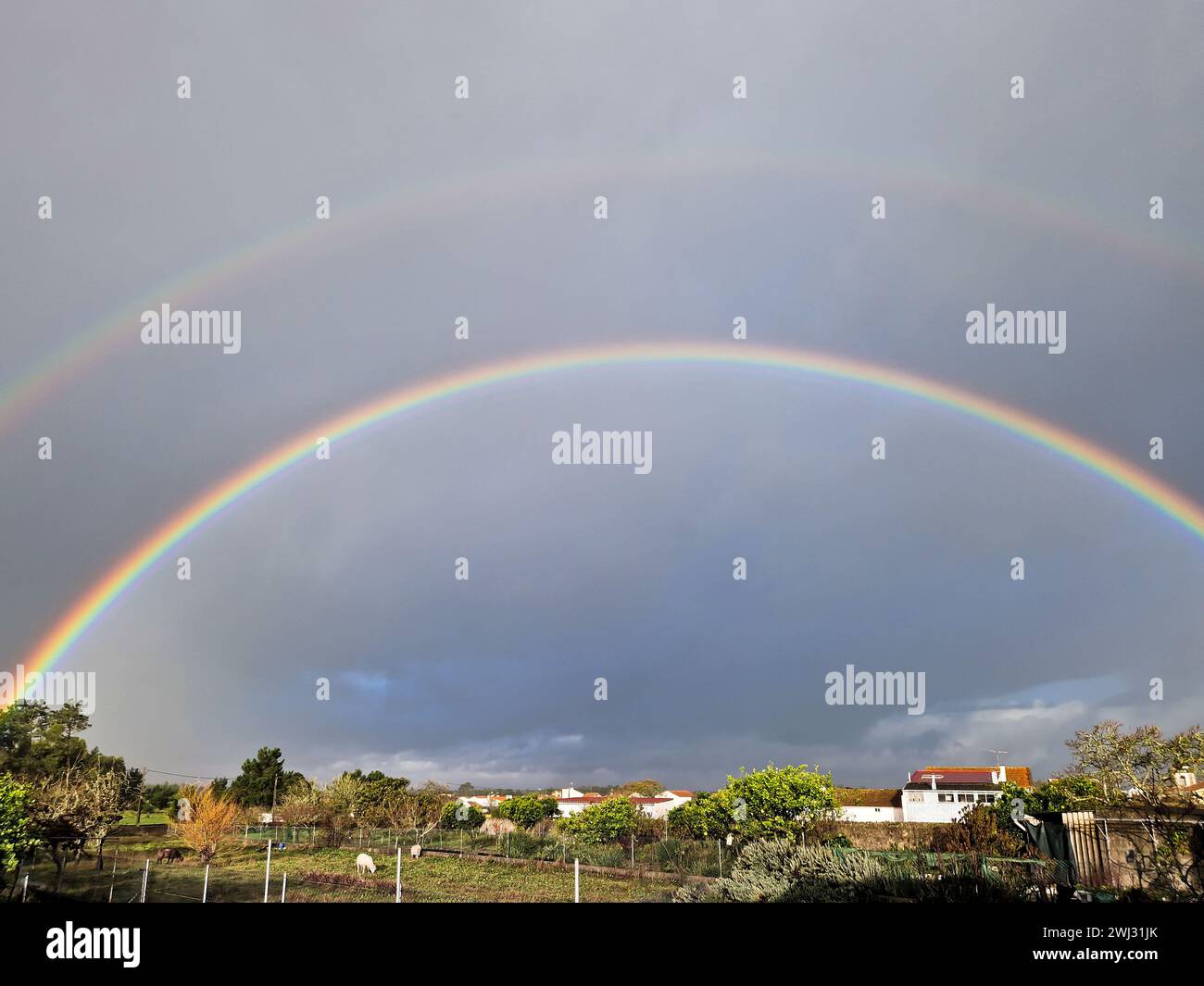 A big double rainbow above an agricultural field. Two colorful arches ...