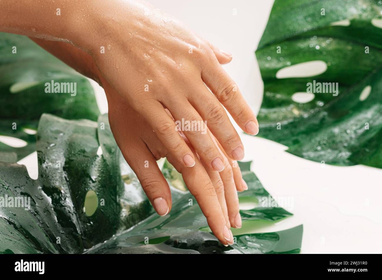 Closeup of wet female hands with moisturized oily skin Stock Photo - Alamy