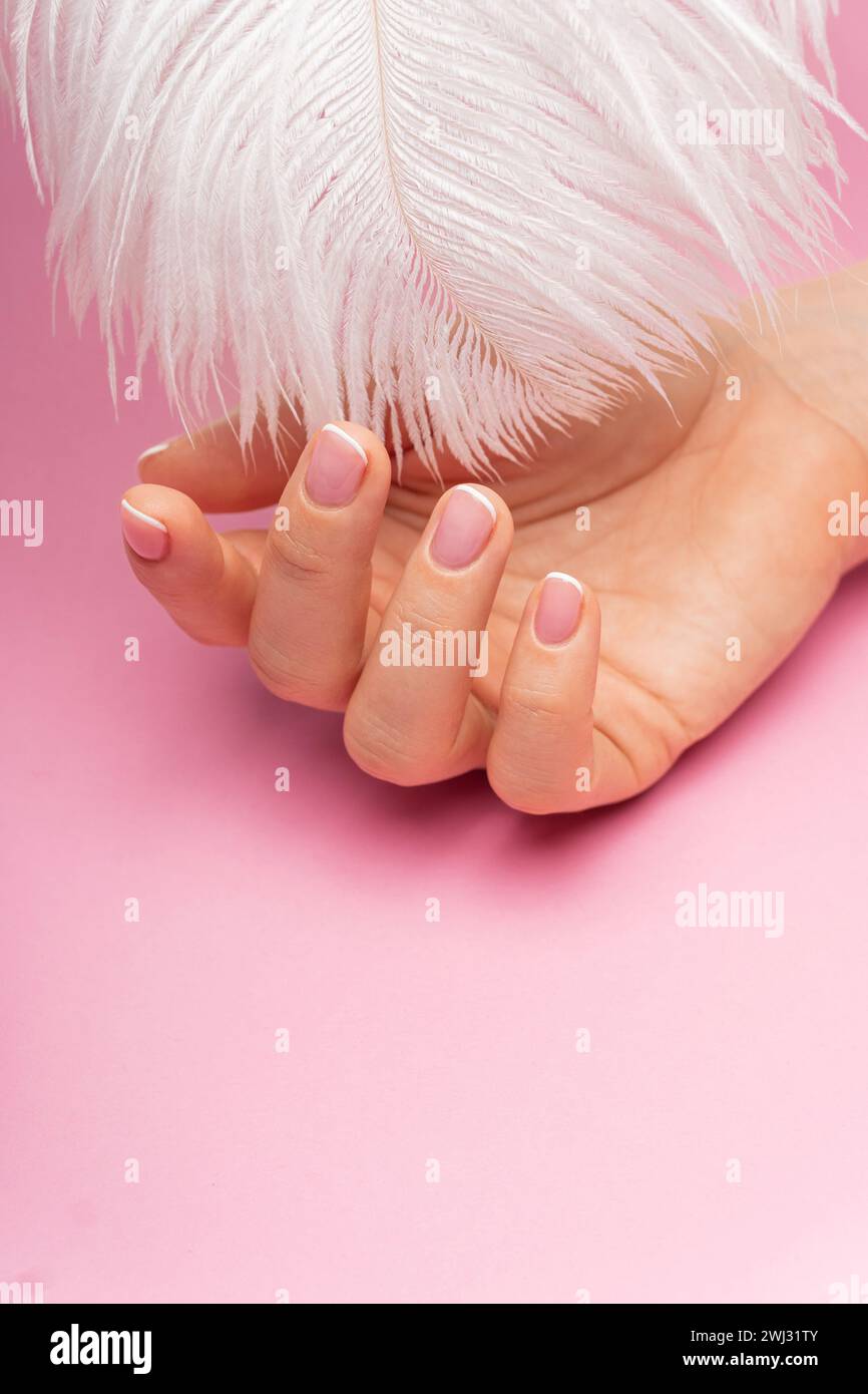 Female hand with smooth skin and soft ostrich feather on pink ...