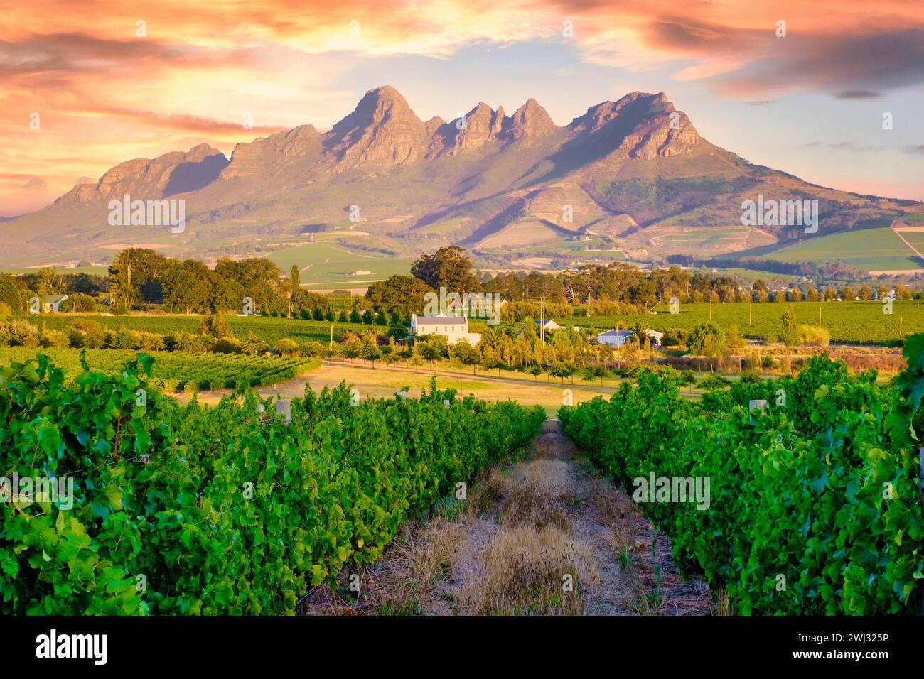 Stellenbosch town hi-res stock photography and images - Alamy