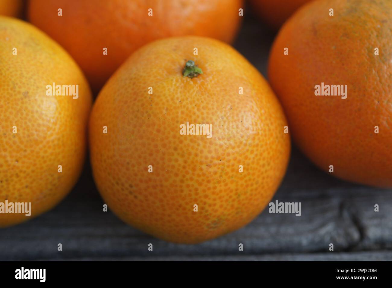 Tangerine citrus trees reticulata hi-res stock photography and images ...