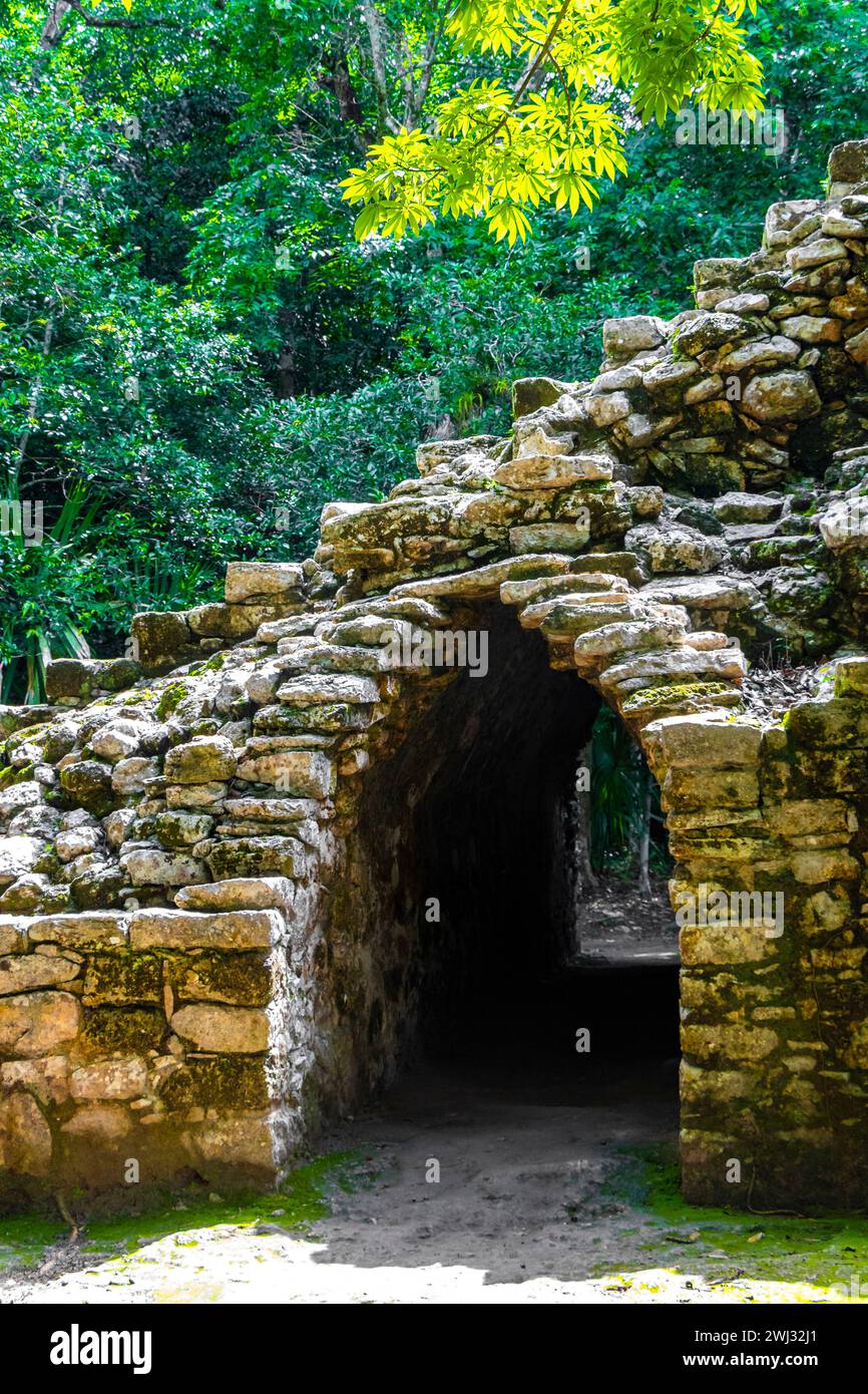 Coba Maya Ruins the ancient buildings and pyramids in the tropical ...