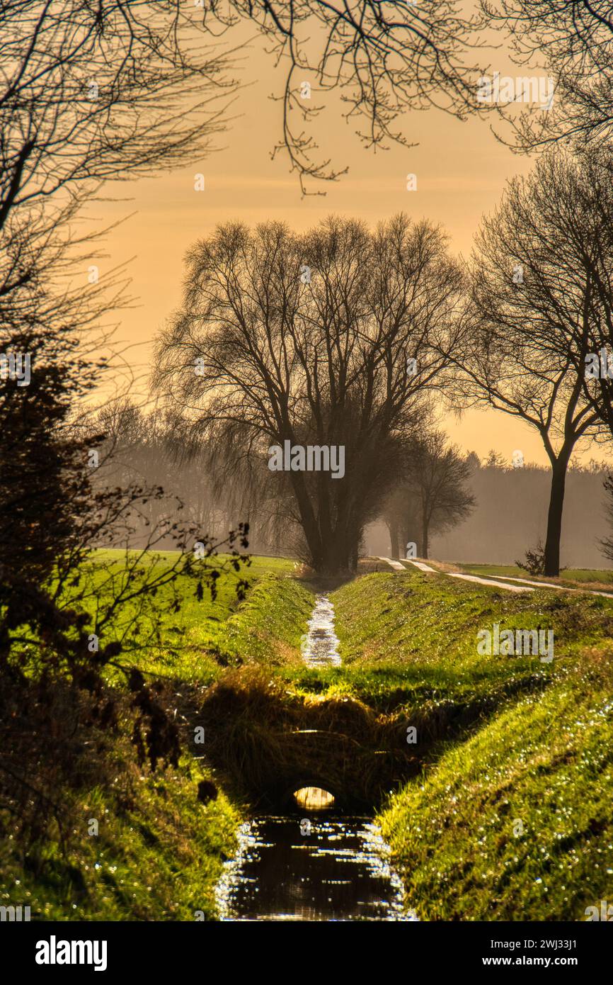 Warm field hi-res stock photography and images - Alamy