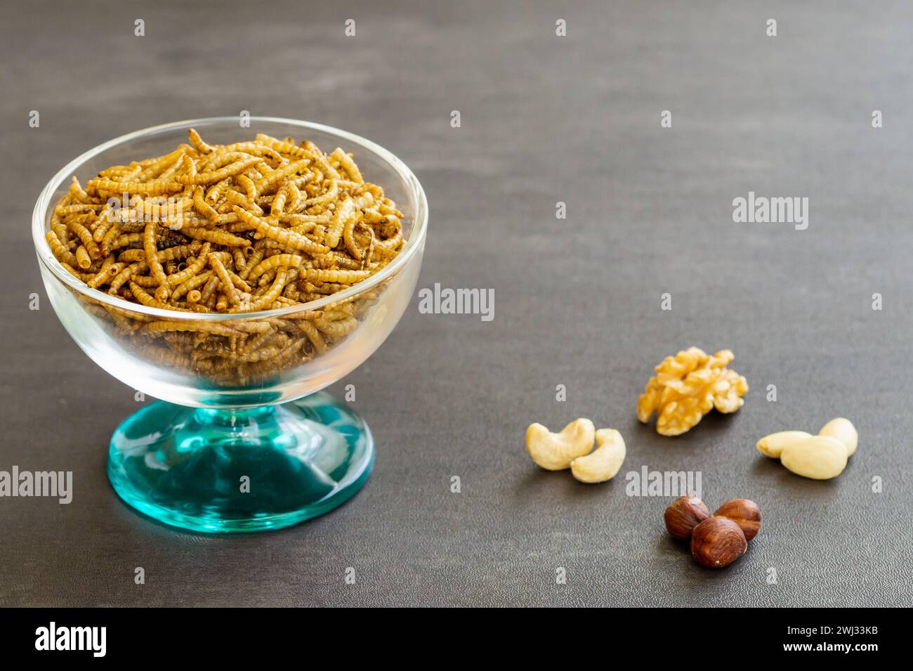 Snack insects. Mealworm larvae as food and variation of nuts. Mealworms ...