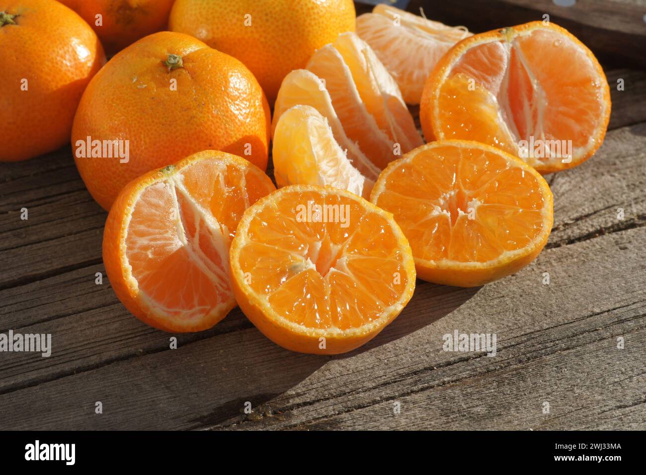 Tangerine citrus trees reticulata hi-res stock photography and images ...