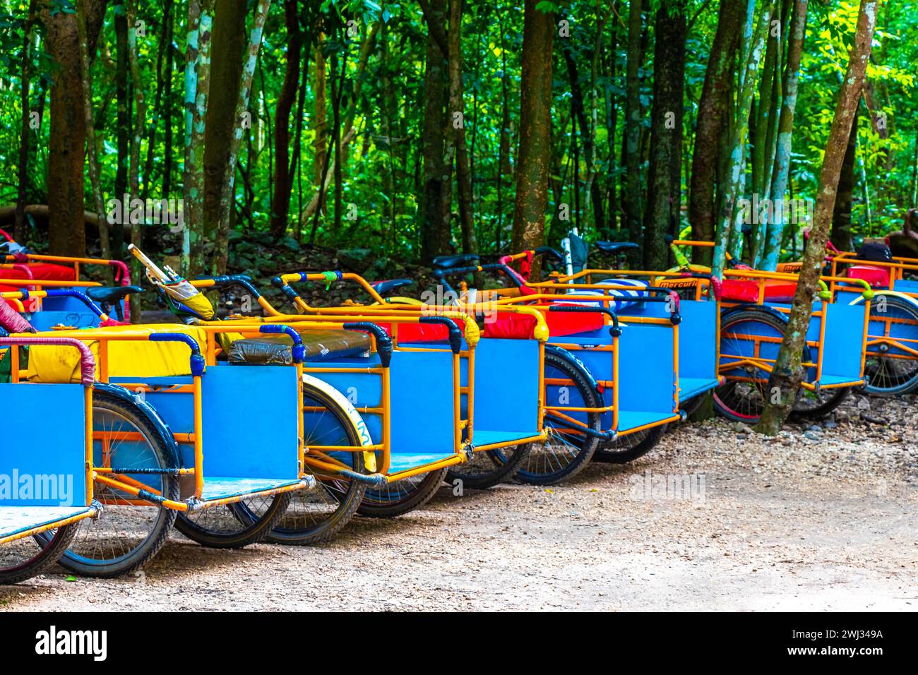 Rent a bike bicycle tricycle and ride through the jungle Coba Ruins Adventure in Coba ...