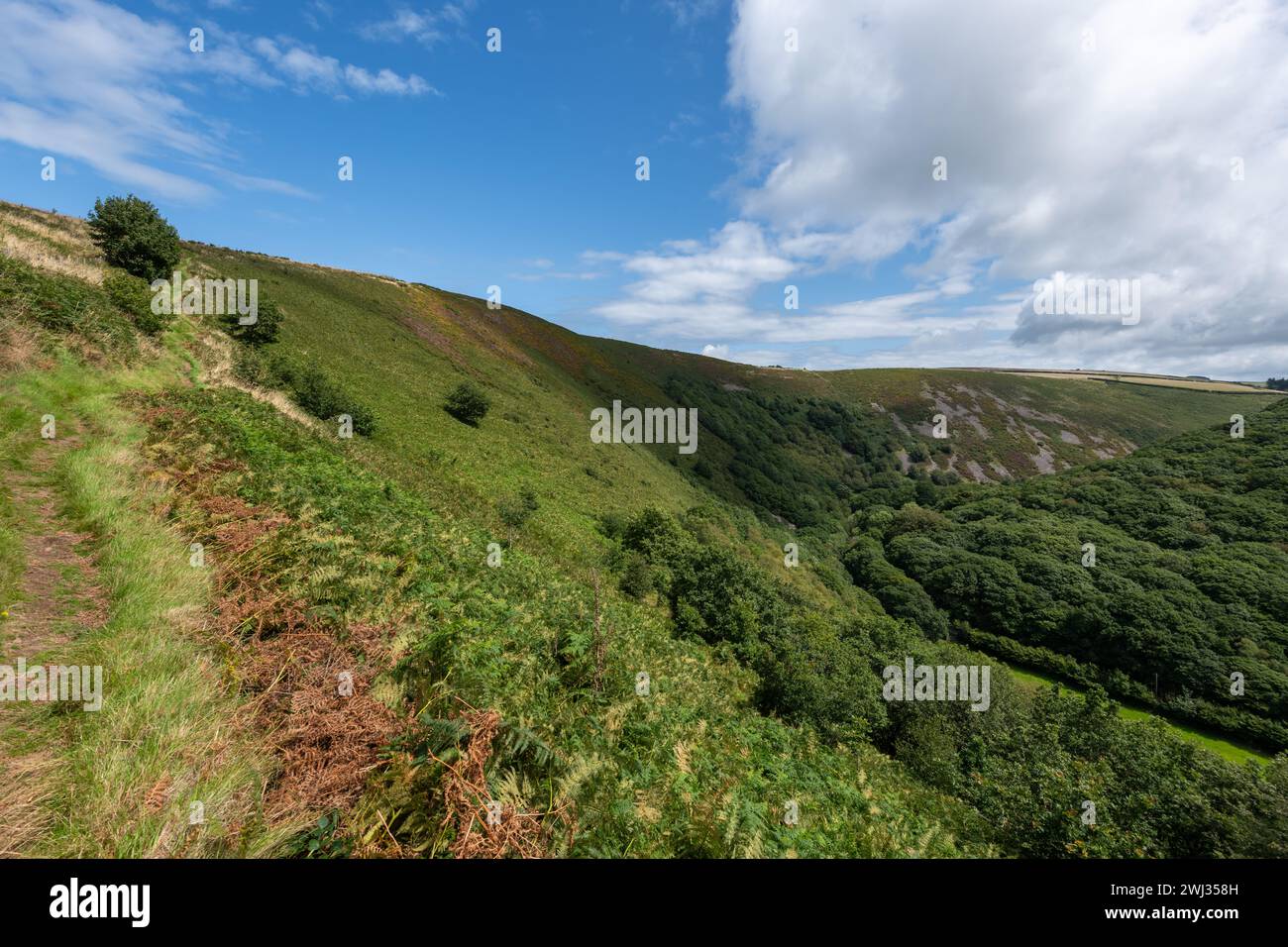 Landscape photo of the Doone valley in Exmoor National Park Stock Photo ...