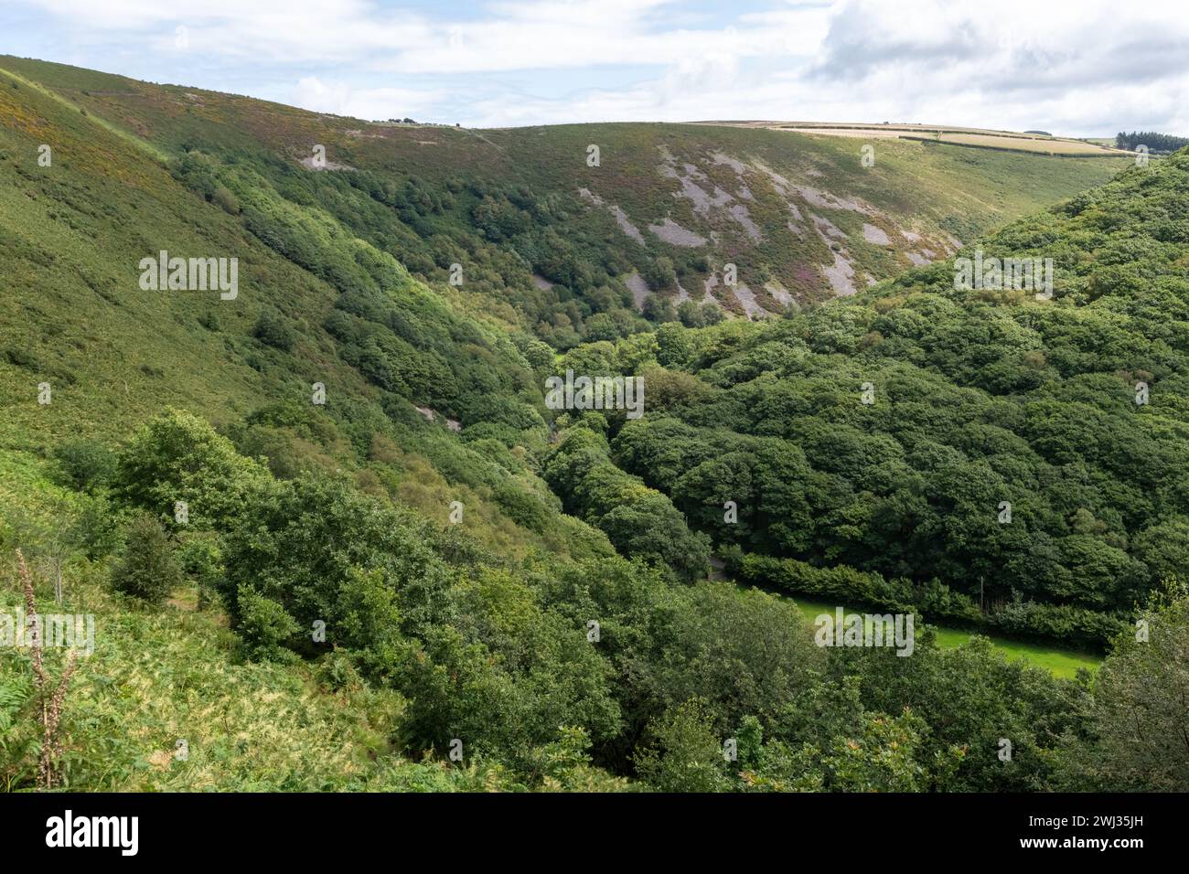 Landscape photo of the Doone valley in Exmoor National Park Stock Photo ...