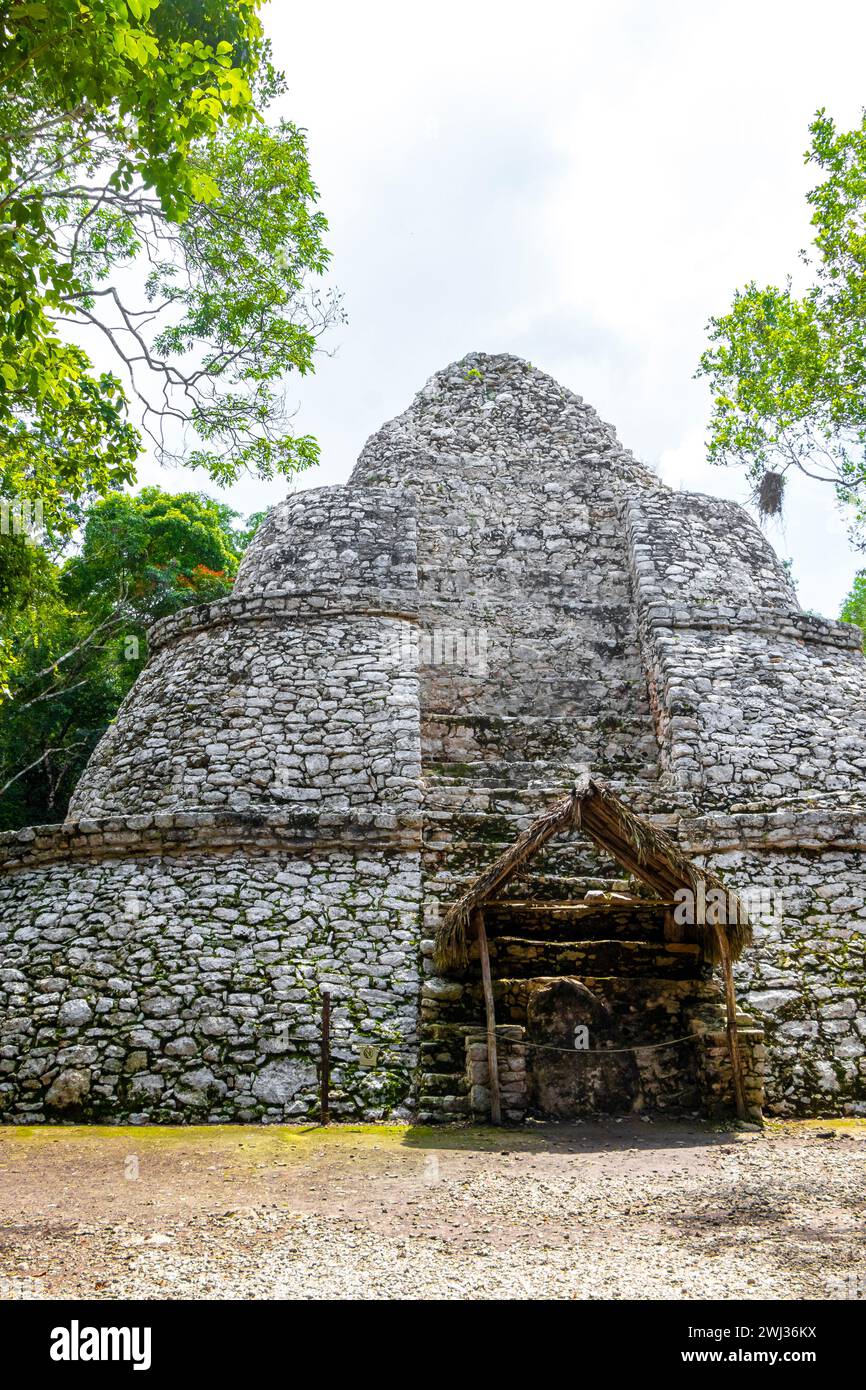 Xaibe at Coba Maya Ruins the ancient buildings and pyramids in the ...