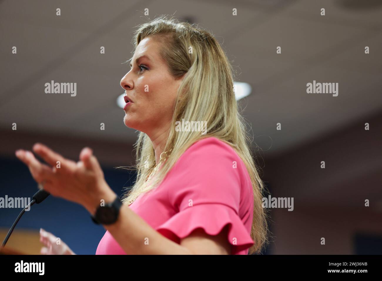 Ashleigh Merchant, attorney for Michael Roman, speaks during a hearing ...