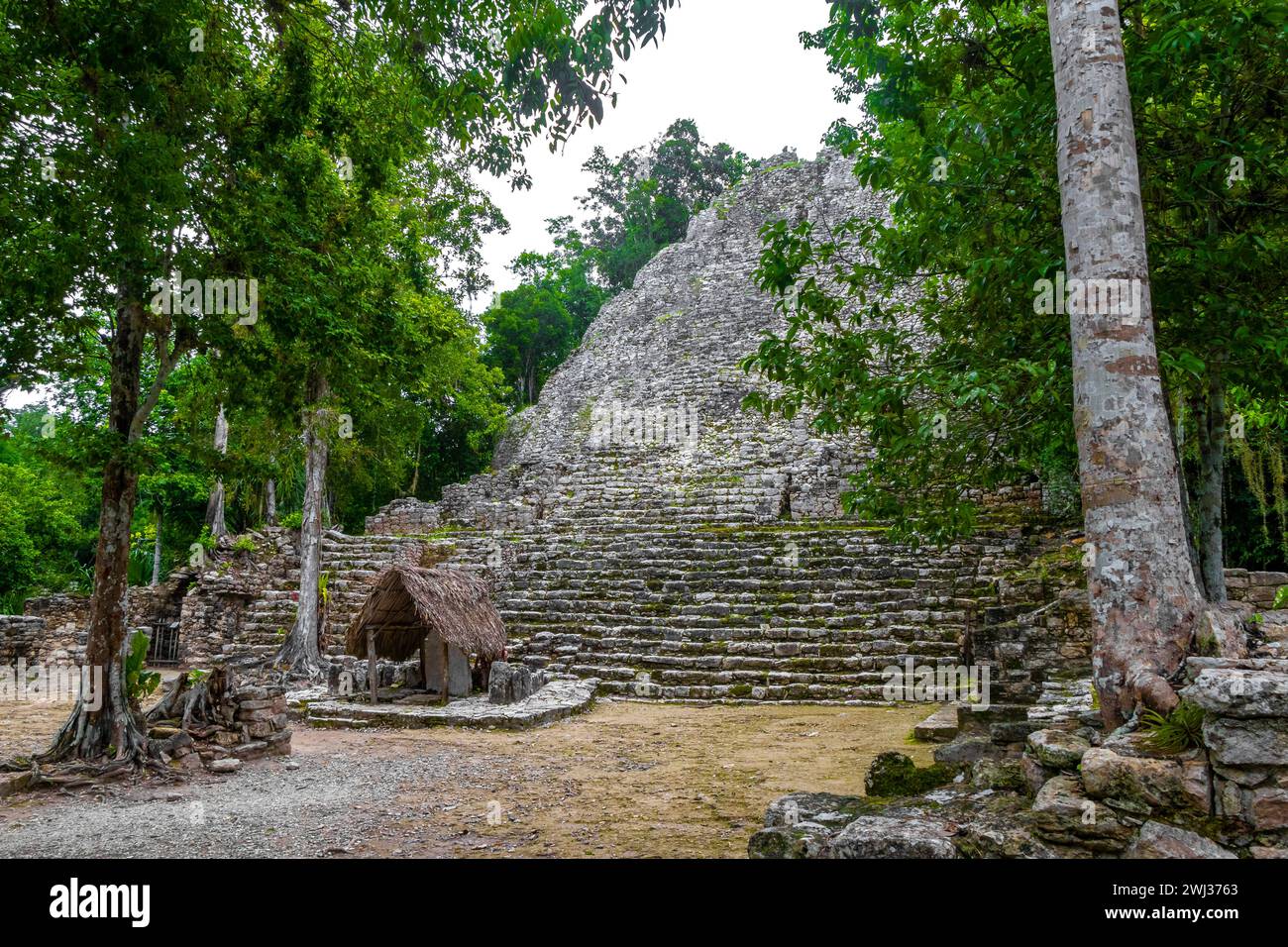 Coba Maya Ruins the ancient buildings and pyramids in the tropical ...