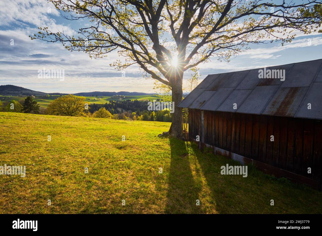 Ruracl ountry during the sunny spring day in the area of northern ...