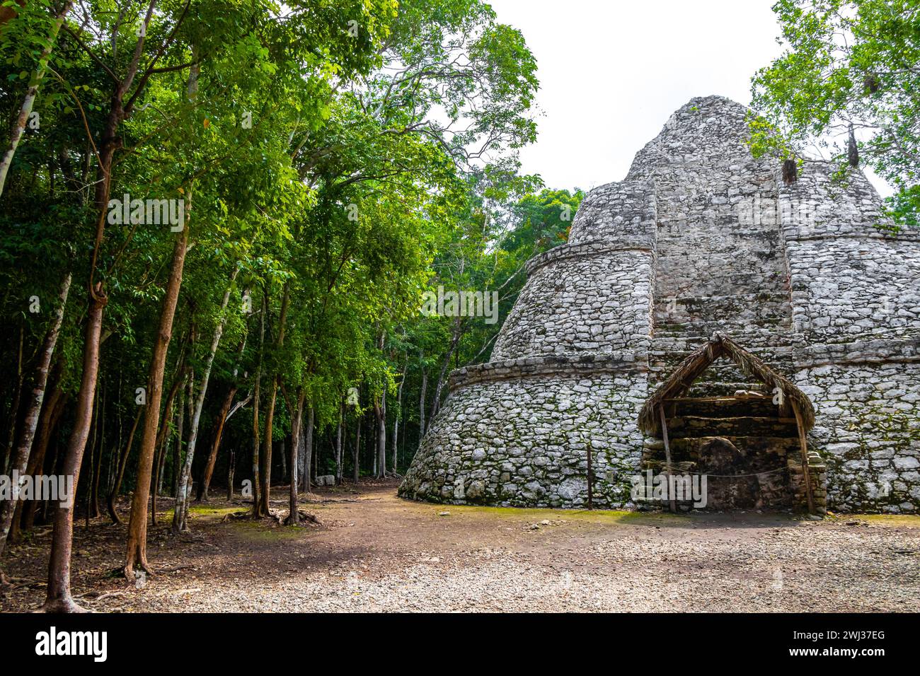 Xaibe at Coba Maya Ruins the ancient buildings and pyramids in the ...