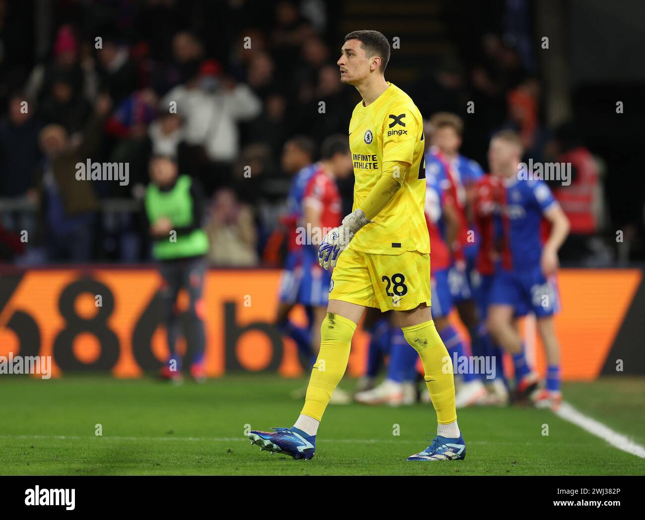 London, UK. 12th Feb, 2024. Djordje Petrović of Chelsea looks dejected ...