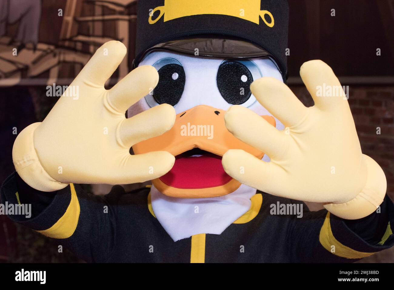 Duck bird living mostly in the water Stock Photo - Alamy