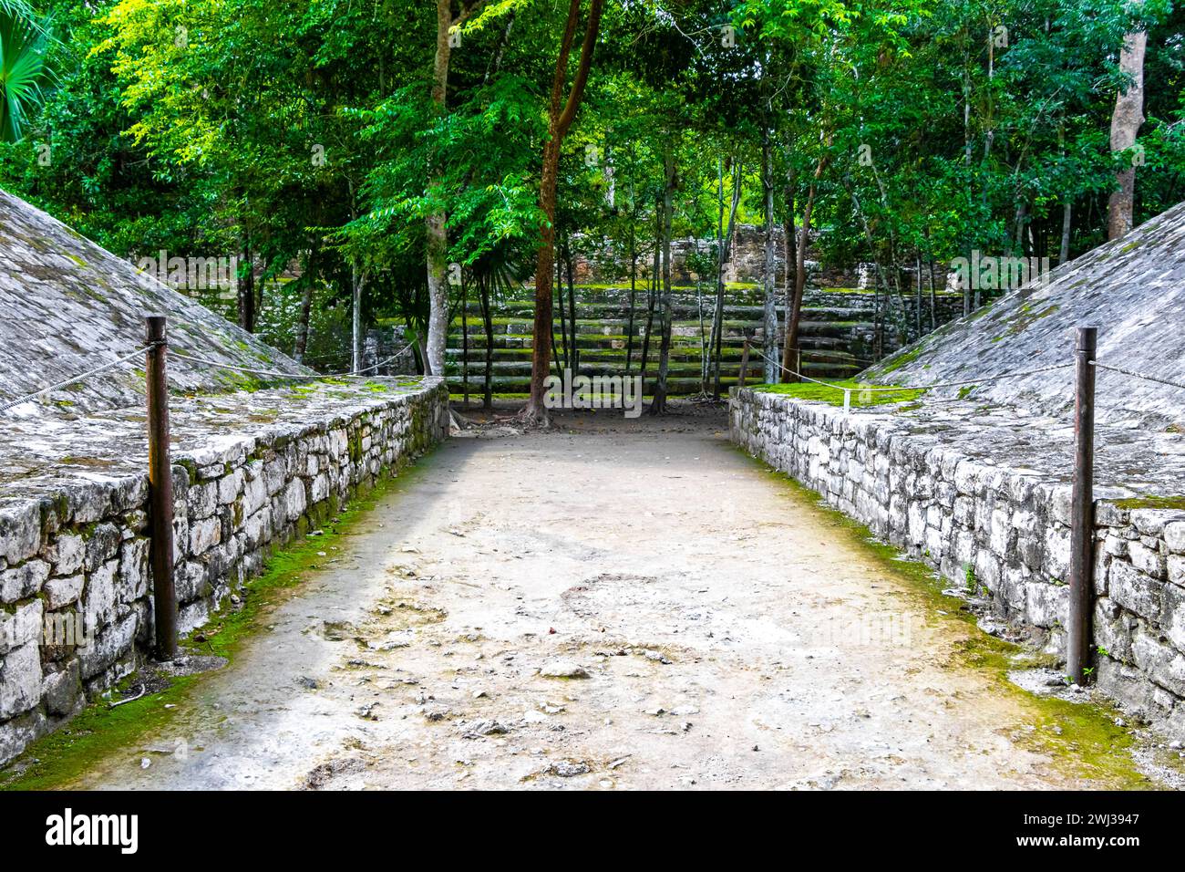 Coba Maya Ruins the ancient buildings and pyramids in the tropical ...
