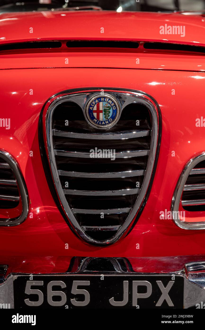 Sparkford.Somerset.United Kingdom.January 7th 2024.Close up of the ...