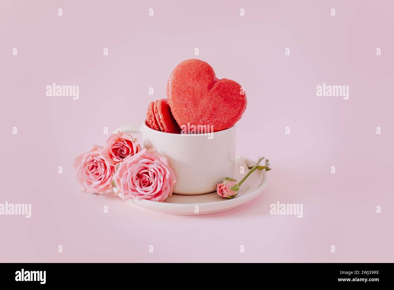 Pink heart shaped french macarons with rose flowers on a pink pastel ...