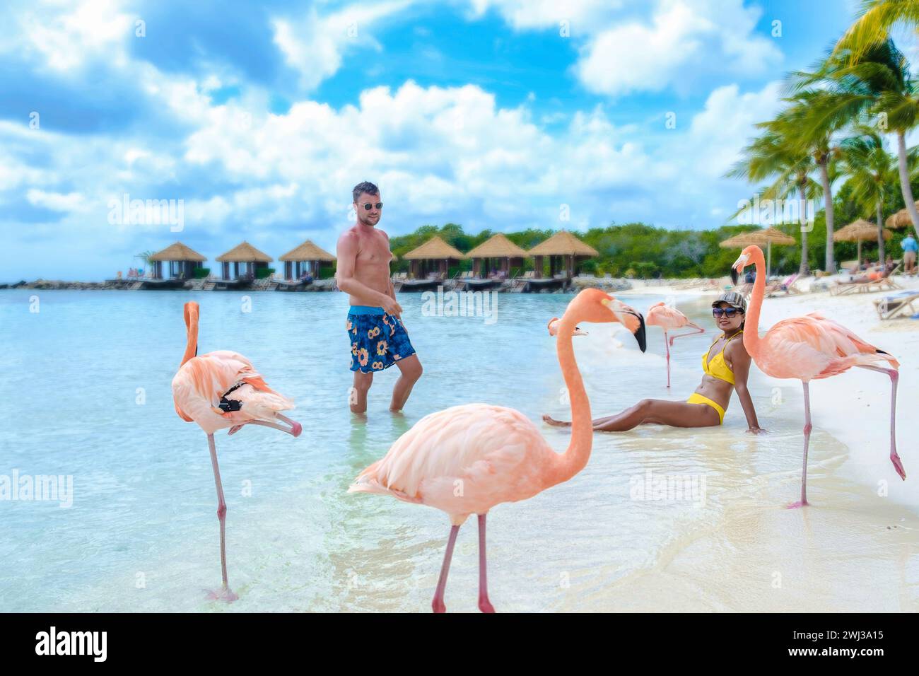 Couple of men and women on the Aruba beach with pink flamingos Aruba ...