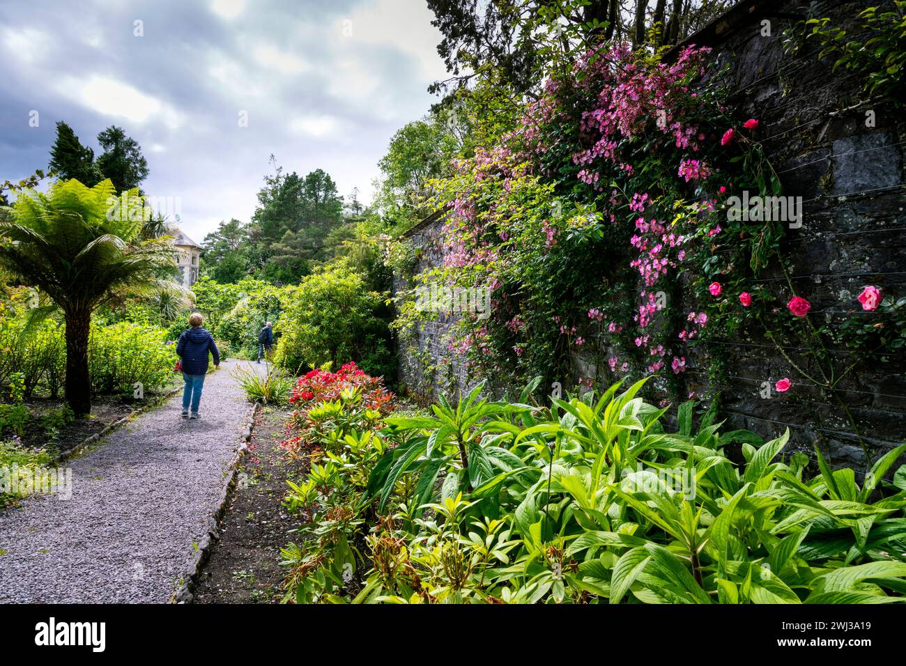 Garinish Island, Glengarriff, Bantry Bay, County Cork, Ireland Stock ...
