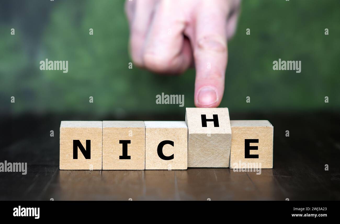 Wooden cubes form the words nice and niche. Symbol for finding a nice ...