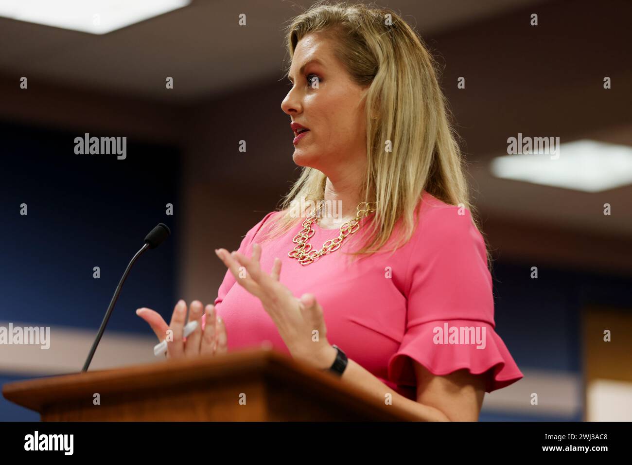 Ashleigh Merchant, attorney for Michael Roman, speaks during a hearing ...