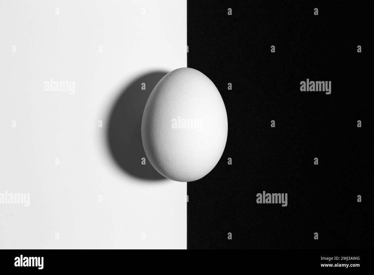 Black and white split screen with egg and shadow with copy space Stock ...